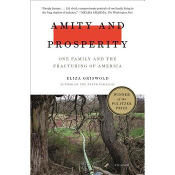和睦与繁荣 2019普利策奖 Amity and Prosperity: One Fam...