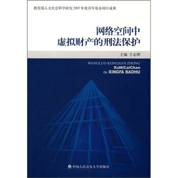 网络空间中虚拟财产的刑法保护 9787811393002