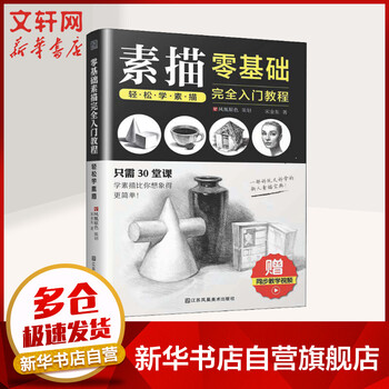零基础素描完全入门教程 轻松学素描