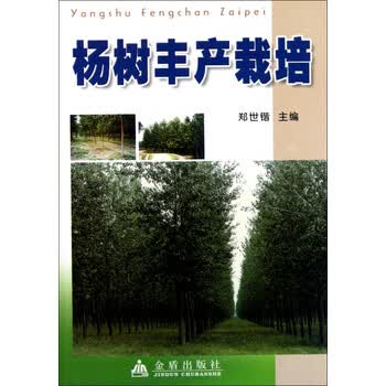 杨树丰产栽培
