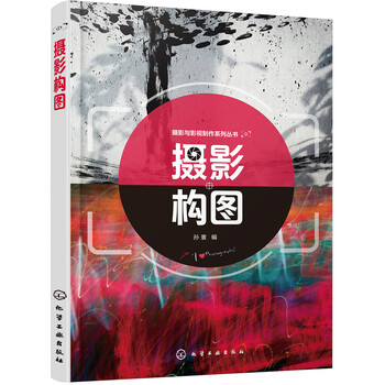摄影与影视制作系列丛书--摄影构图(孙寰 )