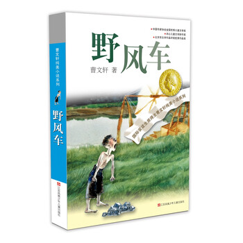 曹文轩纯美小说：野风车/国际安徒生奖得主曹文轩中短篇小说集代表作，关注少年儿童幽微而丰富的心灵世界，广受赞誉。