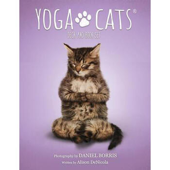 Yoga Cats Deck and Book Set