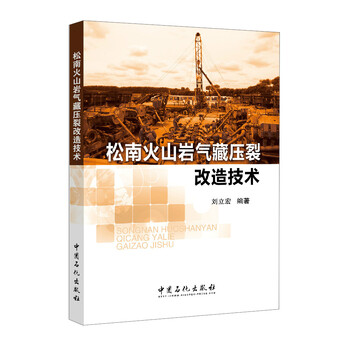 松南火山岩气藏压裂改造技术