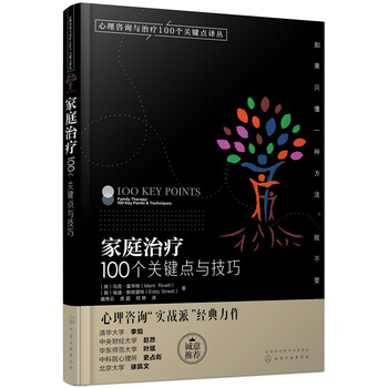 心理咨询与治疗译丛-家庭治疗：100个关键点与技巧
