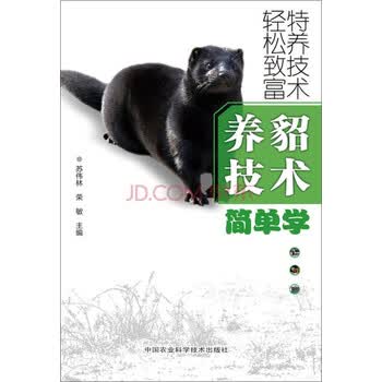 养貂技术简单学