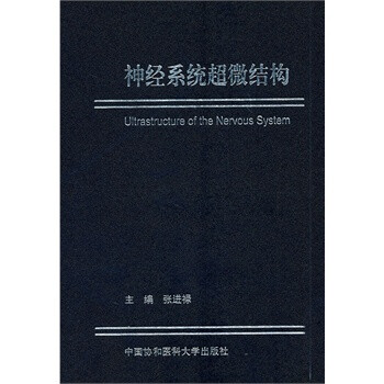 神经系统超微结构