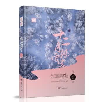 十二月风雪客