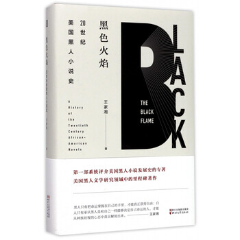 黑色火焰(20世纪美国黑人小说史)(精)