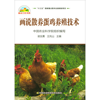 画说散养蛋鸡养殖技术