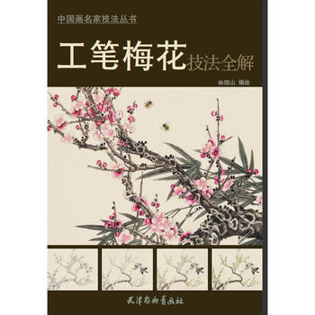 工笔梅花技法全解/书籍/绘画/国画技法