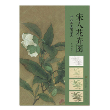 养心斋工笔摹古：宋人花卉图