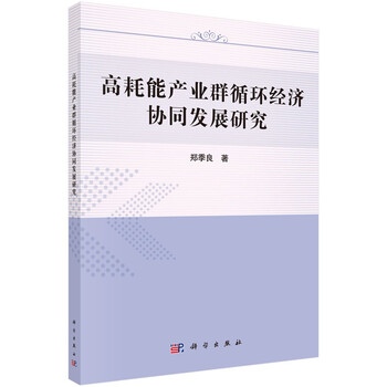 高耗能产业群循环经济协同发展研究