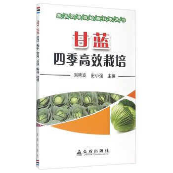 甘蓝四季高效栽培