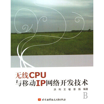 无线CPU与移动IP网络开发技术