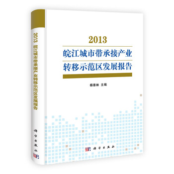 2013皖江城市带承接产业转移示范区发展报告