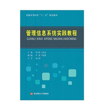 正版 管理信息系统实践教程9787550419186