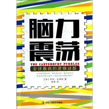 脑力震荡(全球*疯的逻辑谜题)