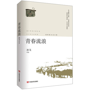青春流浪9787517126348