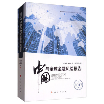 2017中国与全球金融风险报告