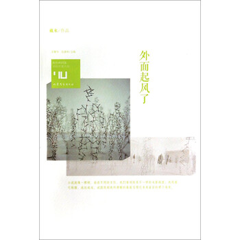 身份共同体70后作家大系：外面起风了