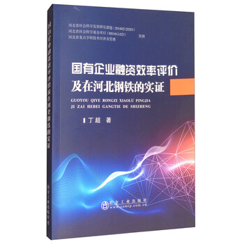 国有企业融资效率评价及在河北钢铁的实证