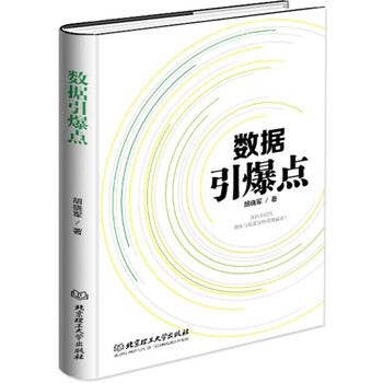 数据引爆点 胡晓军 北京理工大学出版社