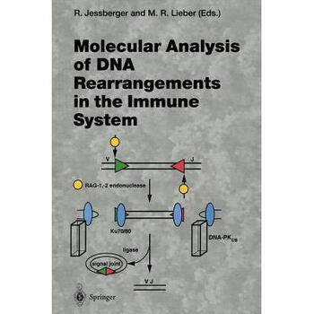 Molecular Analysis of DNA Rearrangements in ...