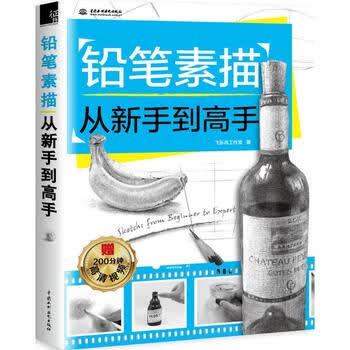 铅笔素描从新手到高手