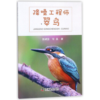 降噪工程师(翠鸟)