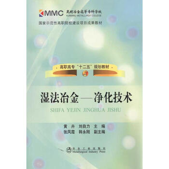 湿法冶金：净化技术