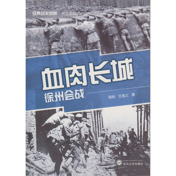 血肉长城：徐州会战 周明 王逸之 武汉大学出版社