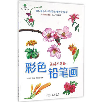 彩色铅笔画美丽花草绘
