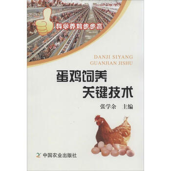 蛋鸡饲养关键技术