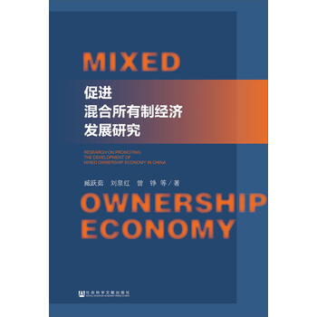 促进混合所有制经济发展研究