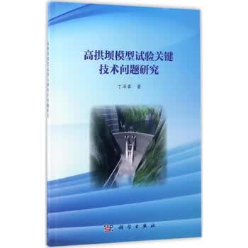 高拱坝模型试验关键技术问题研究