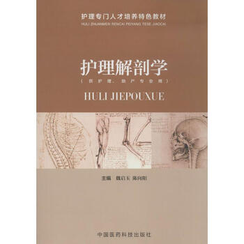 护理解剖学