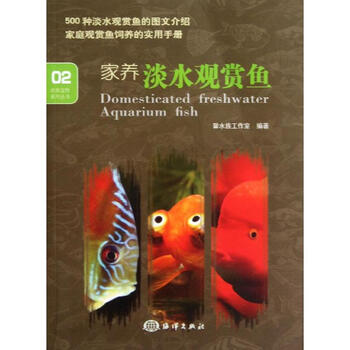 家养淡水观赏鱼(2)