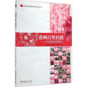 贵州百里杜鹃