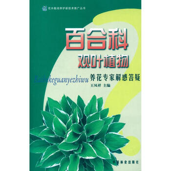 百合科观叶植物养花专家解惑答疑