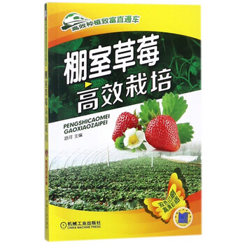 棚室草莓高效栽培(双色印刷)/高效种植致富直通车