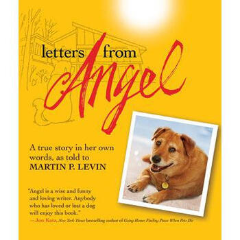 Letters from Angel: A True Story in Her Own ...