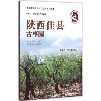 陕西佳县古枣园