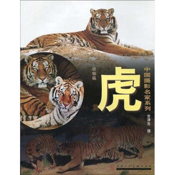 中国摄影名家系列动物篇（虎）
