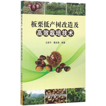 板栗低产树改造及高效栽培技术