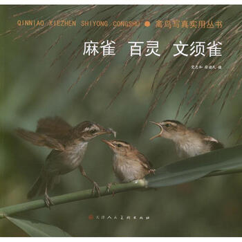 禽鸟写真实用丛书:麻雀.百灵.文须雀