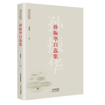 孙振华自选集