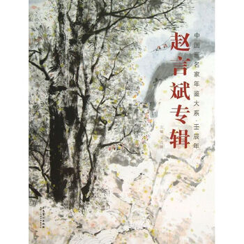 赵言斌专辑 