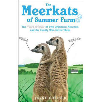 The Meerkats of Summer Farm: The True Story ...