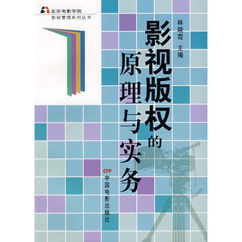 影视版权的原理与实务